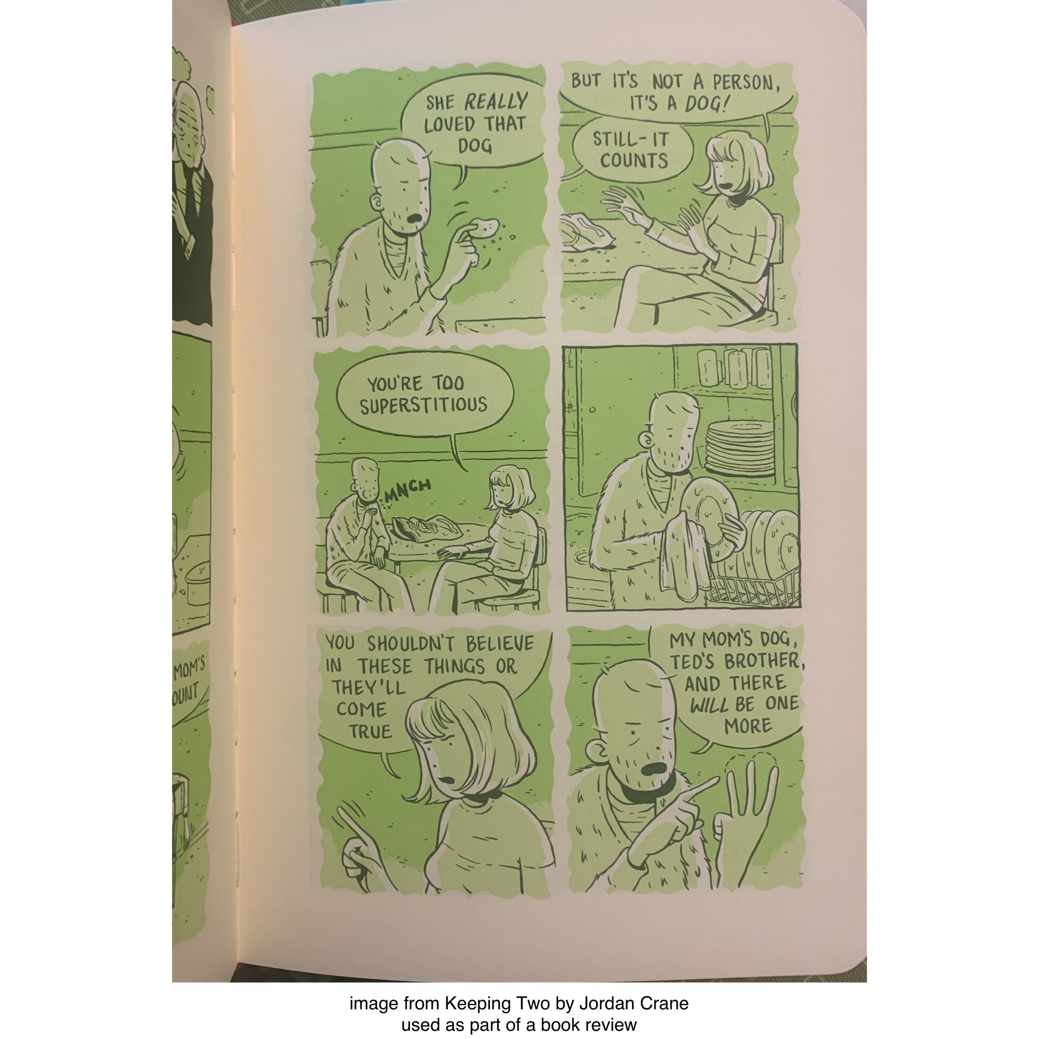 Graphic Novel Review: Keeping Two by Jordan Crane – LIBRARY COMIC